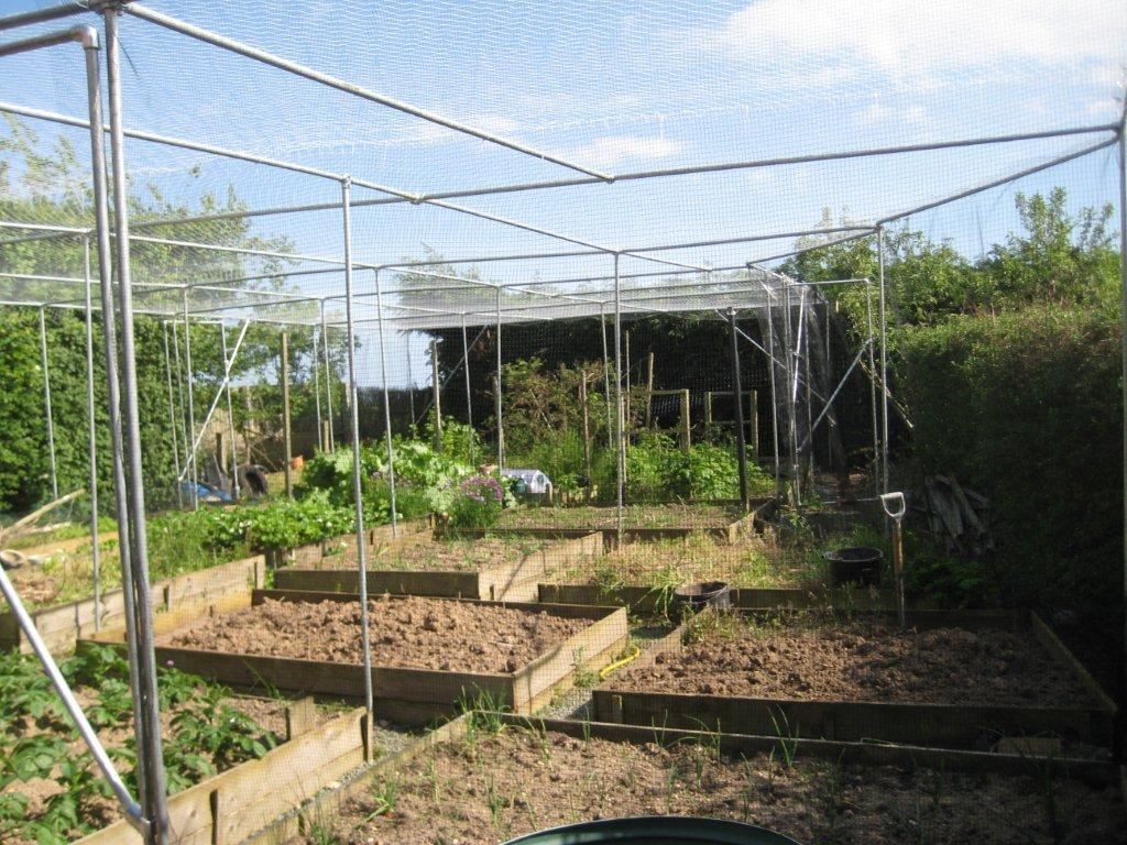 Fruit Cages and Vegetable Protection - Modular and Walk In Cages
