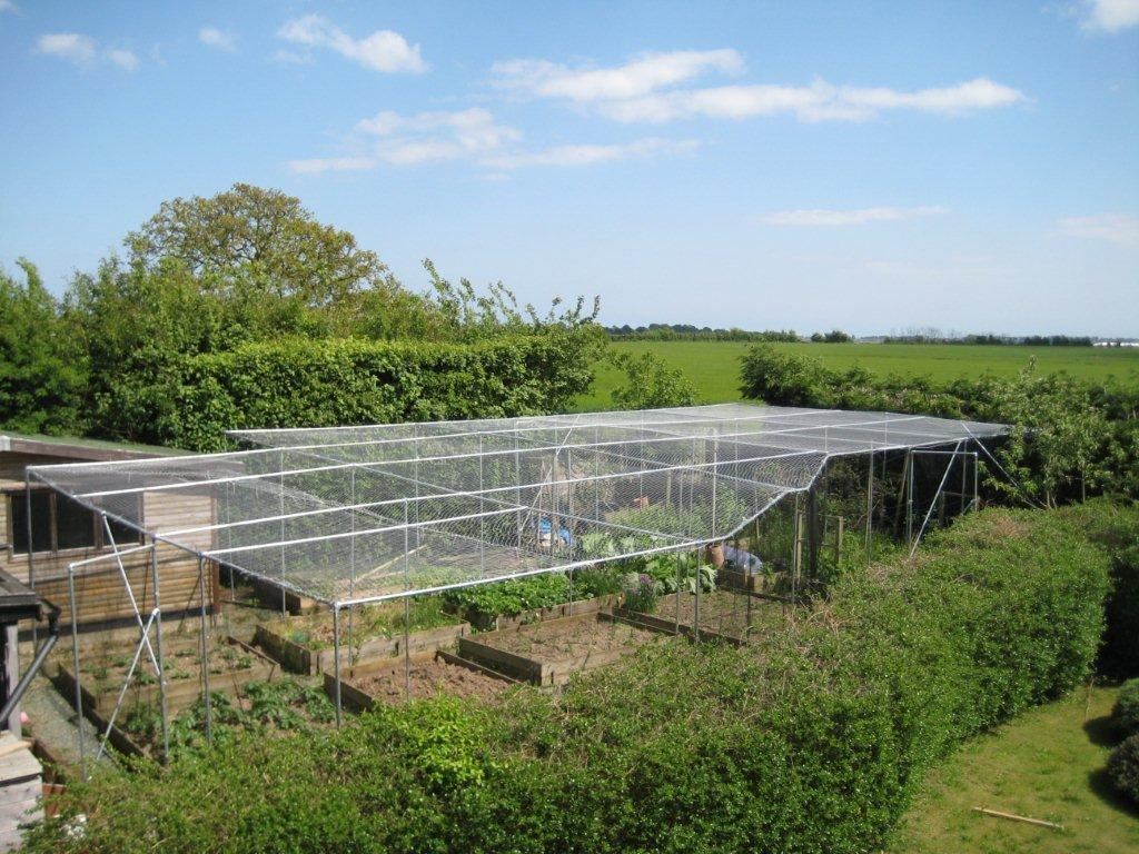 Fruit Cages and Vegetable Protection - Modular and Walk In Cages
