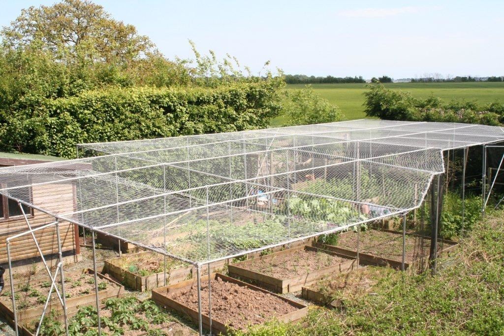 Fruit Cages and Vegetable Protection - Modular and Walk In Cages